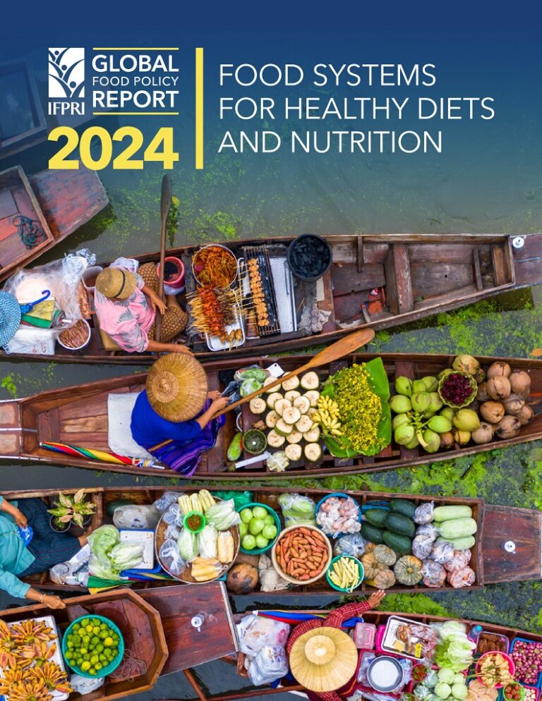 Global food policy report 2024: Food systems for healthy diets and ...